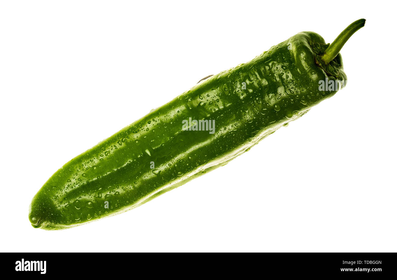 Very fresh green pepper (with drops of water). Isolated on white ...
