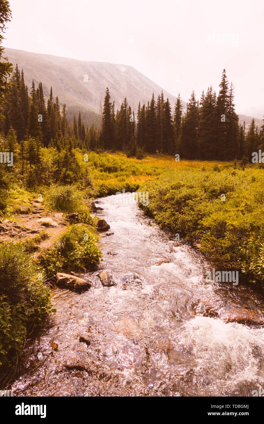 River in a green field with pine trees and hills in the background ...