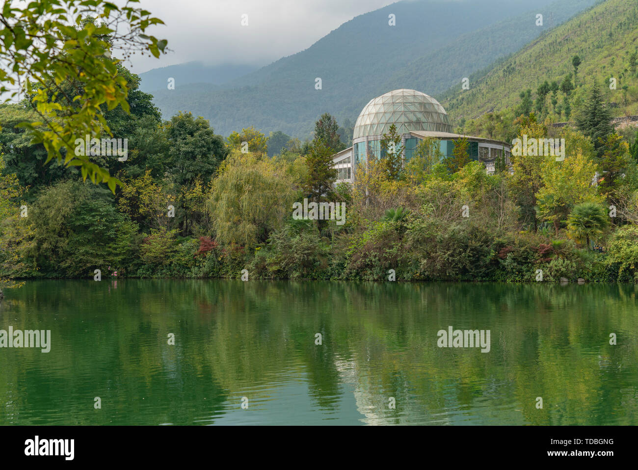 Dali Butterfly Spring Scenery High Resolution Stock Photography and ...