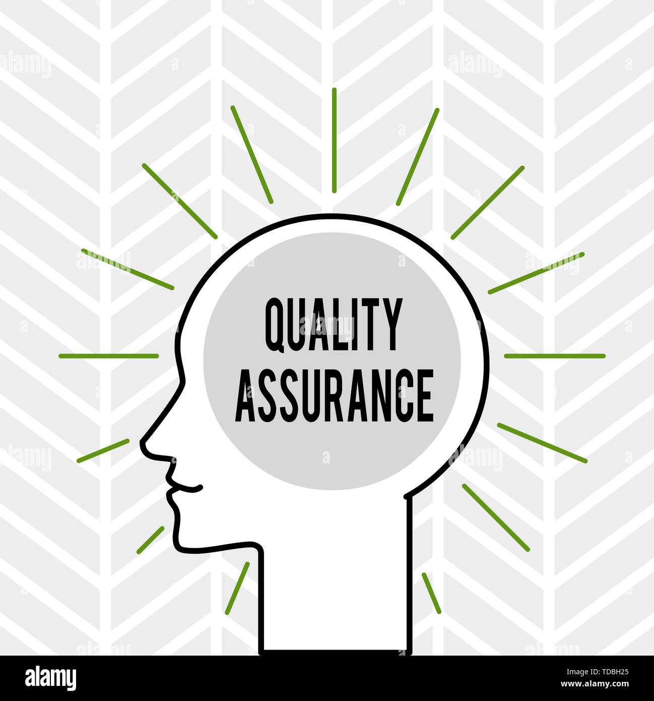 Handwriting text writing Quality Assurance. Conceptual photo Ensures a ...