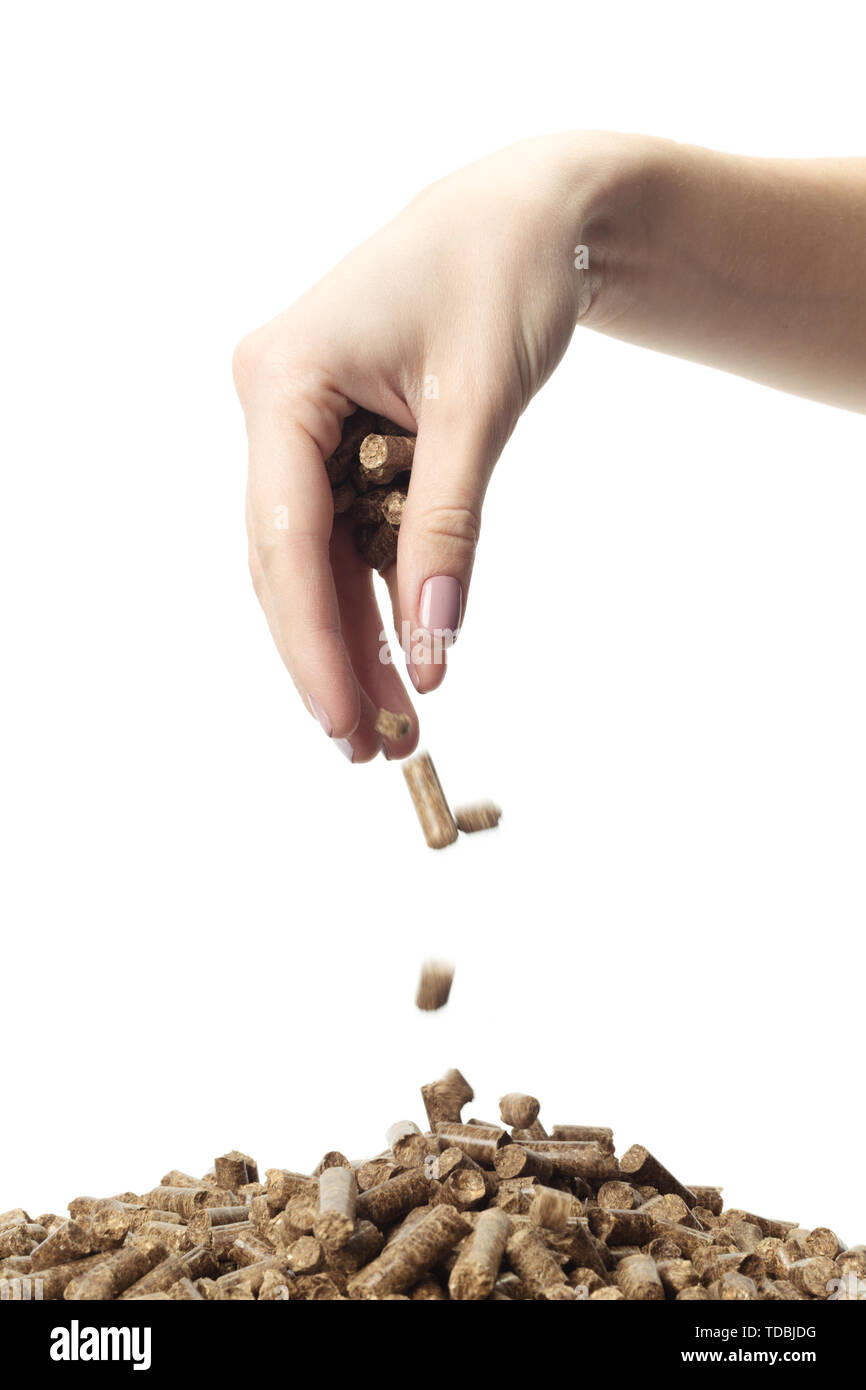 Human hand holding solid wooden pellets Stock Photo - Alamy