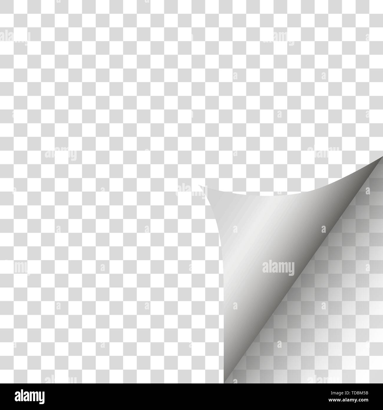 Curled Page Corner transparent silt background. Vector Stock Vector ...