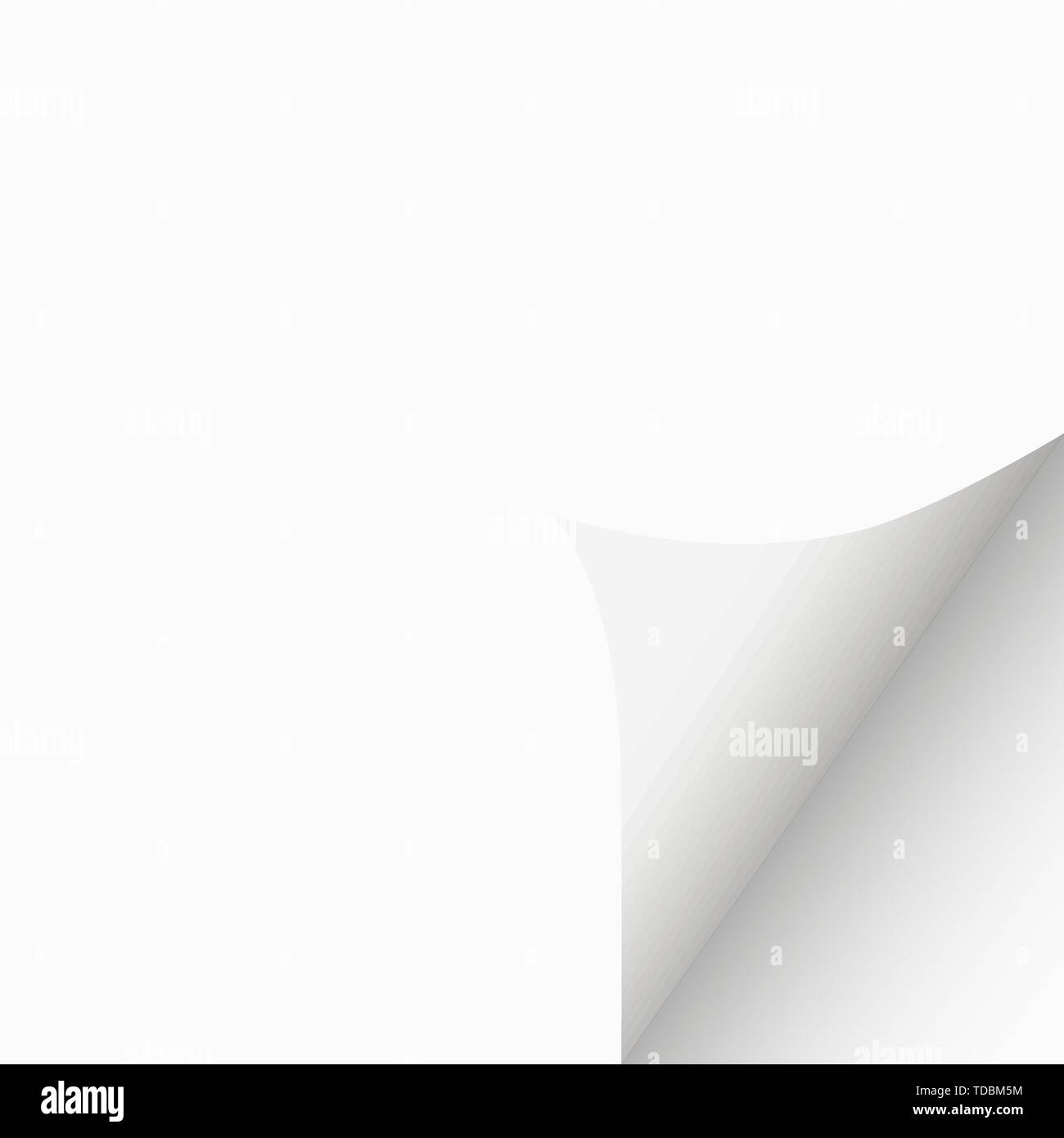 Curled Page Corner transparent silt background. Vector Stock Vector ...
