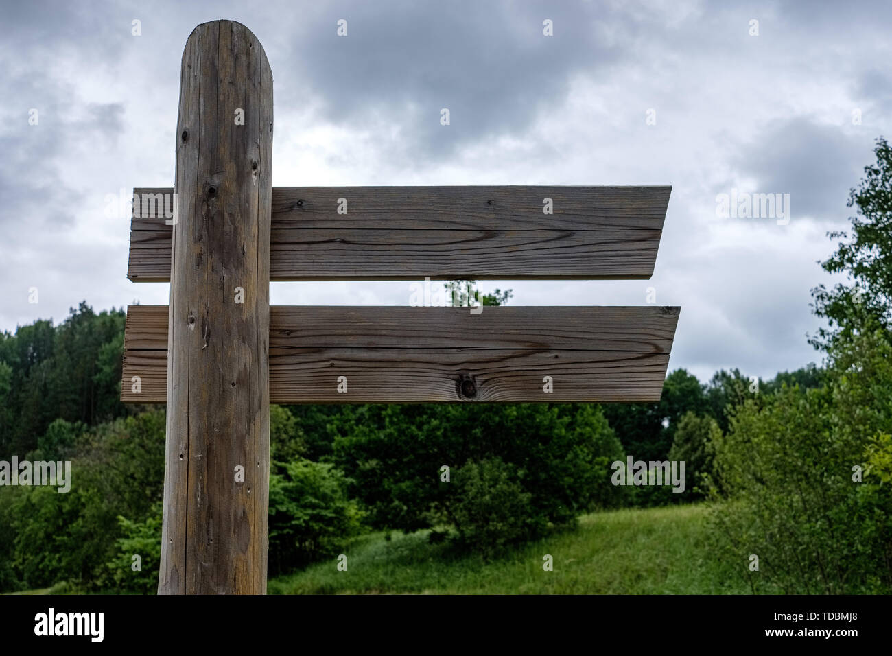 tourist direction signs in forest made of wood planks Stock Photo - Alamy