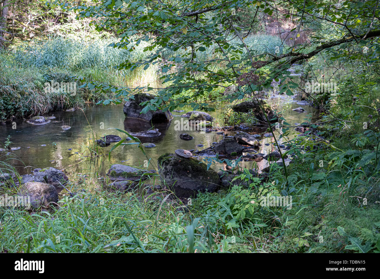 rocks in green forest in summer day, large stones Stock Photo - Alamy