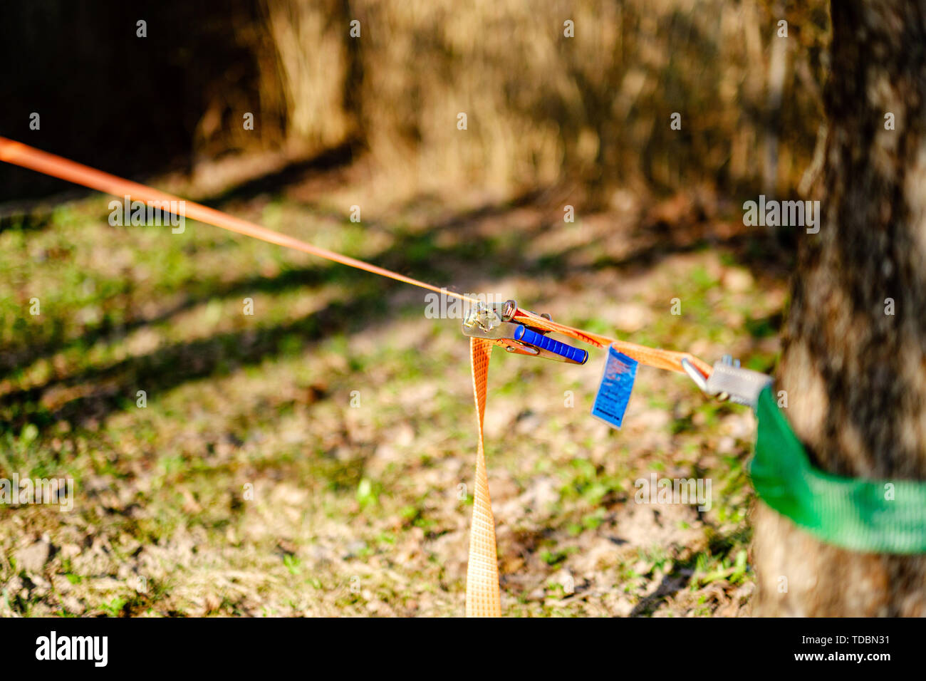 Rope walking between trees hi-res stock photography and images - Alamy