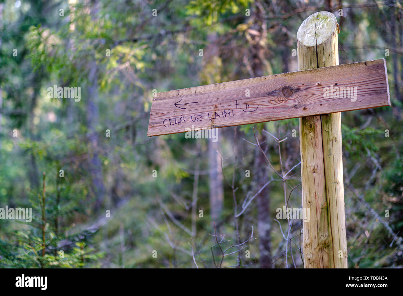 tourist direction signs in forest made of wood planks Stock Photo - Alamy