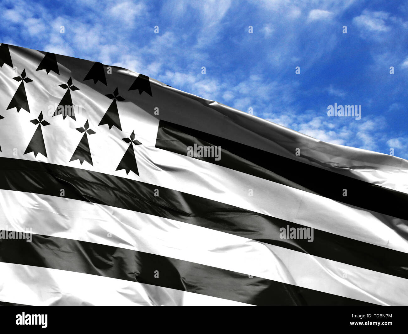 Flag brittany blowing in hi-res stock photography and images - Alamy