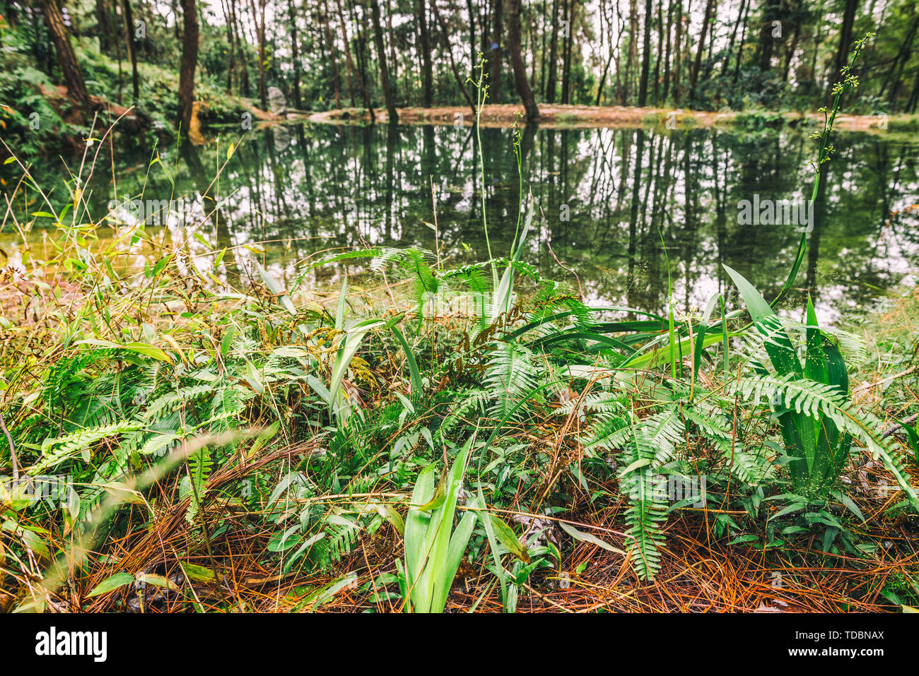 Scenery of Jiufeng Yaochi, Jiufengshan, Xiaojiuzhai, Chongqing Stock ...
