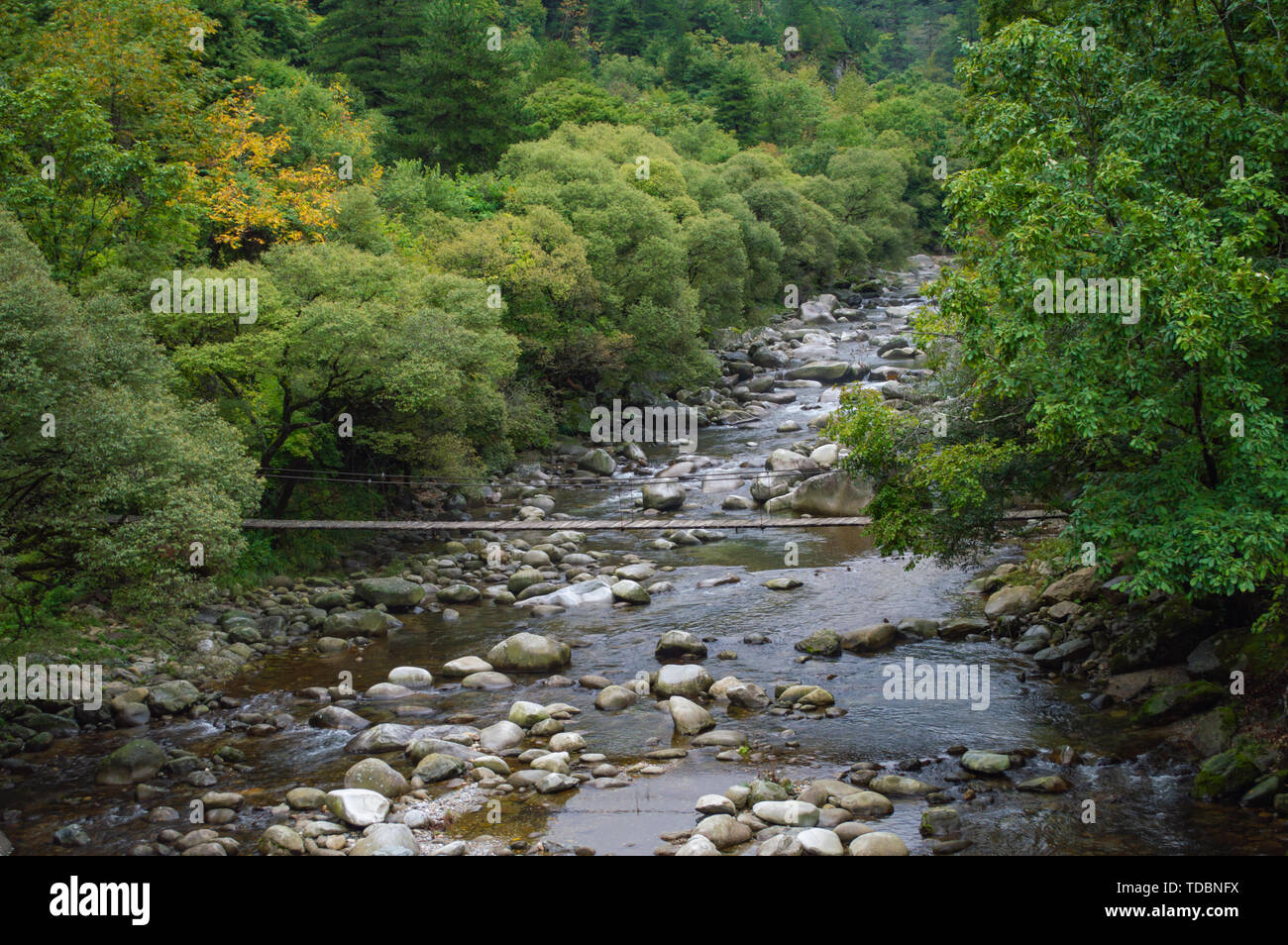 Qinling Huangbai Plateau Scenic Area Stock Photo - Alamy