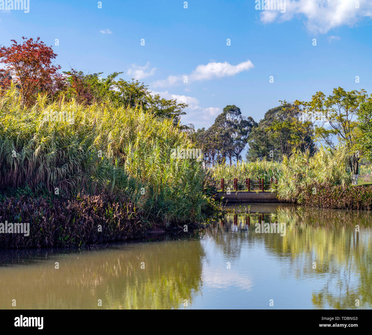 Scenery of Fuxian Lake Stock Photo - Alamy