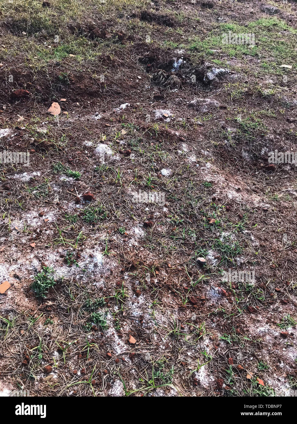 Soil spherical shape hi-res stock photography and images - Alamy