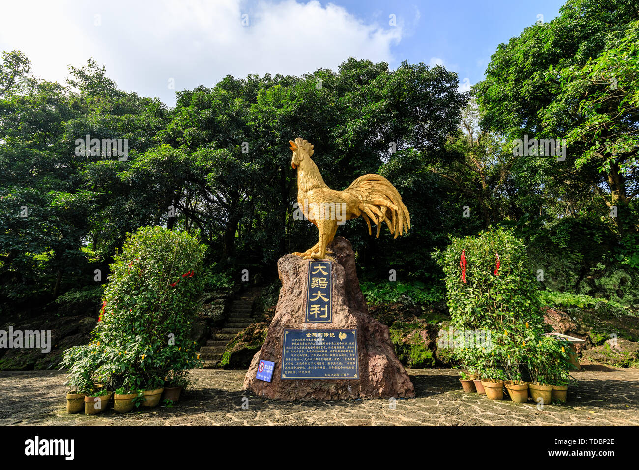 Haikou Shishan Volcanic Group National Geopark, China Stock Photo - Alamy