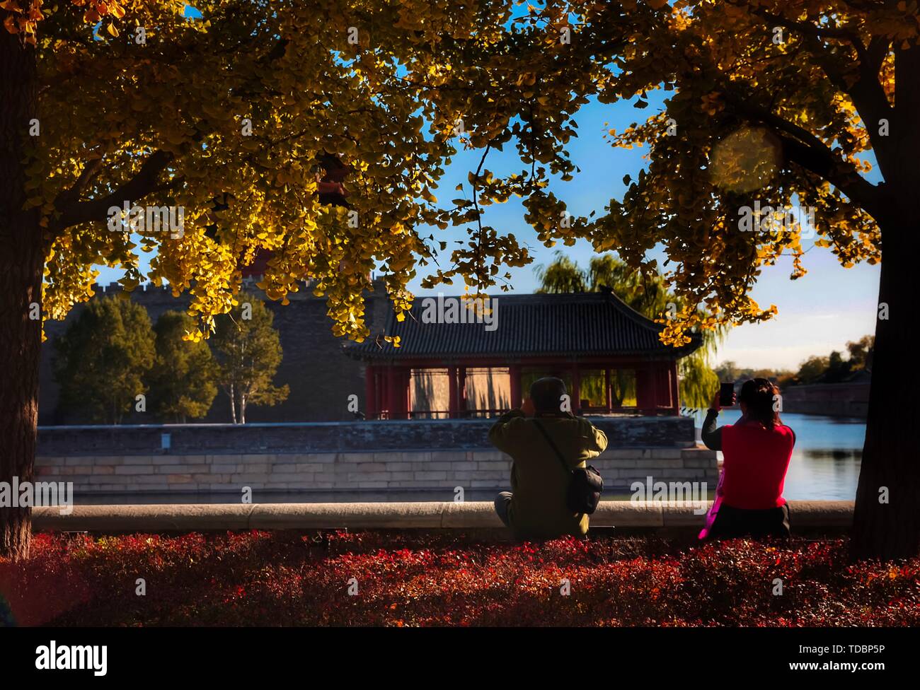 Autumn at the Imperial Palace in Beijing Stock Photo - Alamy