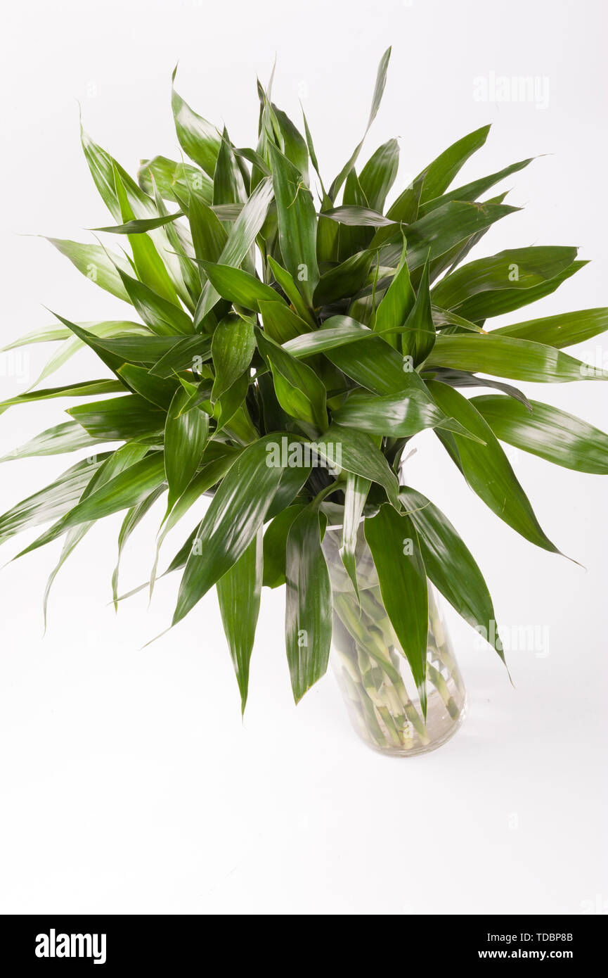 Wanshou tower hi-res stock photography and images - Alamy