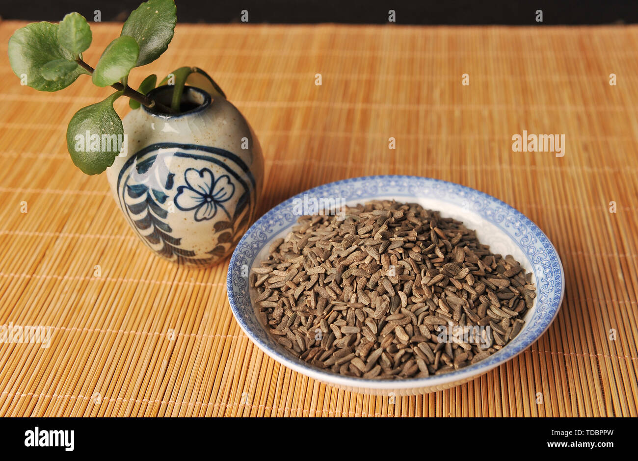 Chinese medicine burdock seeds Stock Photo - Alamy