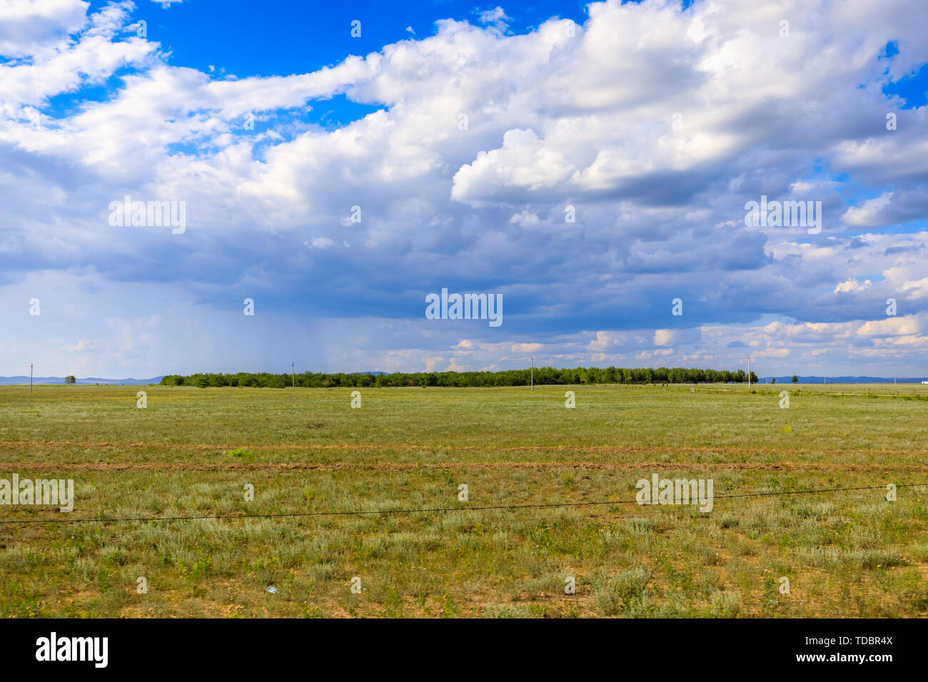 Summer in Hulunbuir Prairie, Inner Mongolia Stock Photo - Alamy