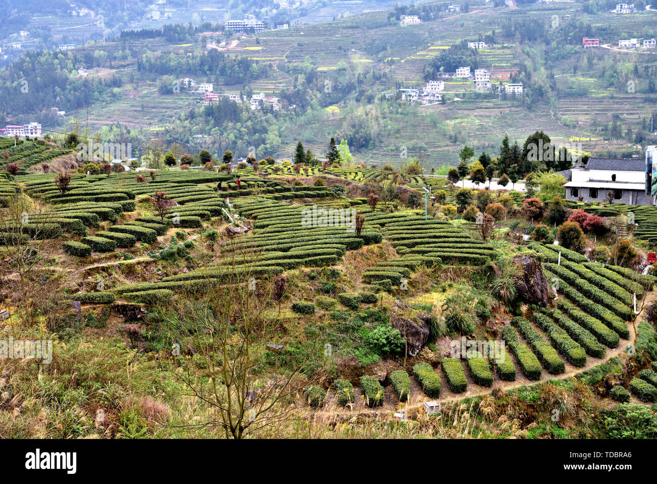 Farms and plants vision hi-res stock photography and images - Alamy