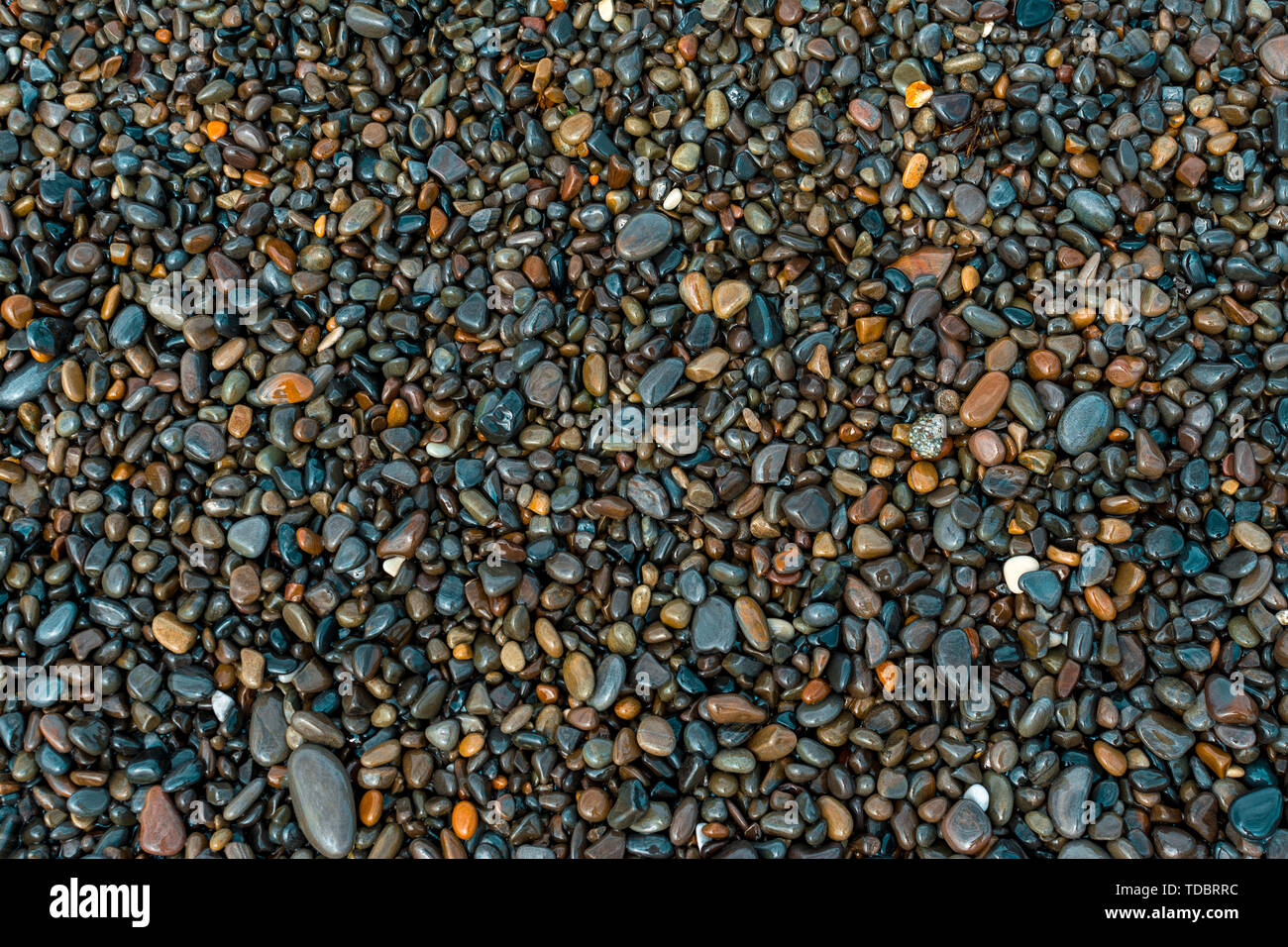 Wet pebbles on the beach on a summer day, background Stock Photo - Alamy