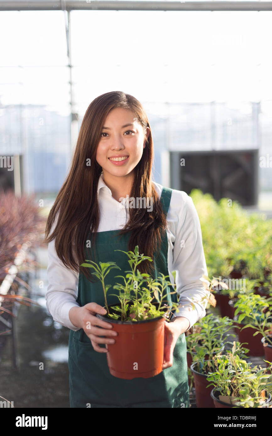 young beautiful chinese woman works in green field Stock Photo - Alamy
