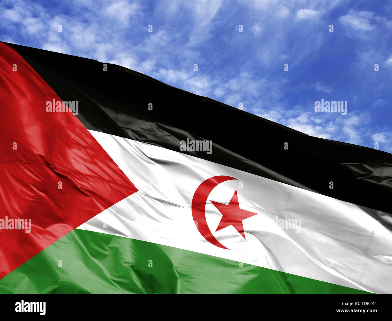 Flag western sahara waving wind hi-res stock photography and images - Alamy