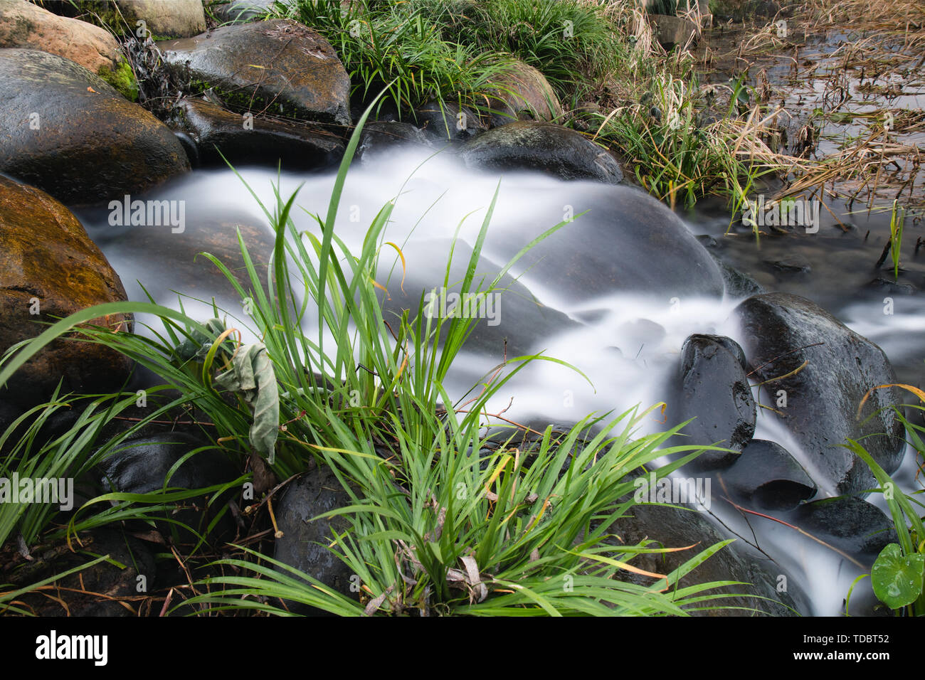 The gurgling stream Stock Photo - Alamy