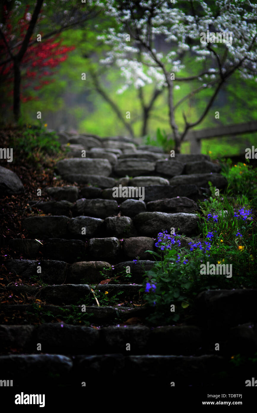 Stone steps of Choi Shi Creek, Taohuayu, Tai'an Stock Photo - Alamy