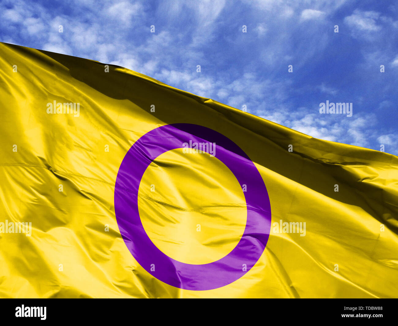 Intersex pride flag hi-res stock photography and images - Alamy
