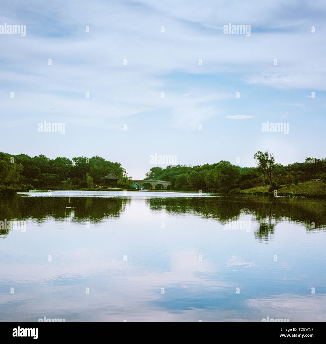 Spring planting images hi-res stock photography and images - Alamy