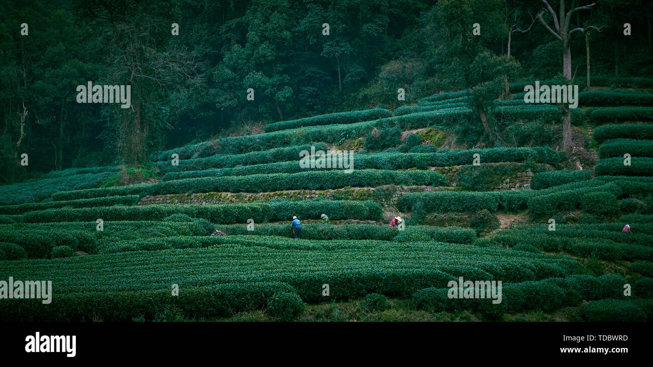Meijiawu hi-res stock photography and images - Alamy
