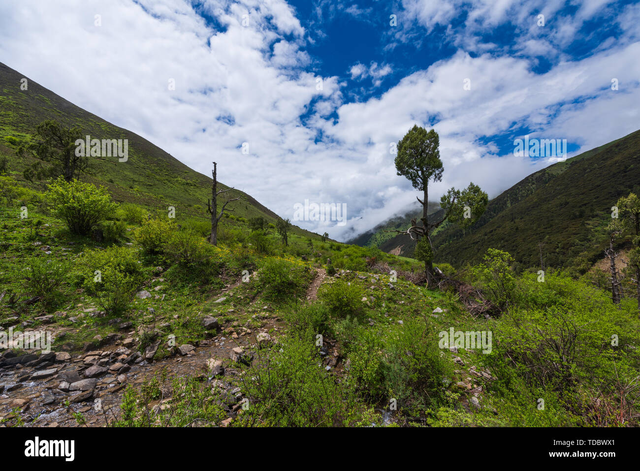 Gonga Snow Mountain Ring Line hikes scenery along the way Stock Photo ...
