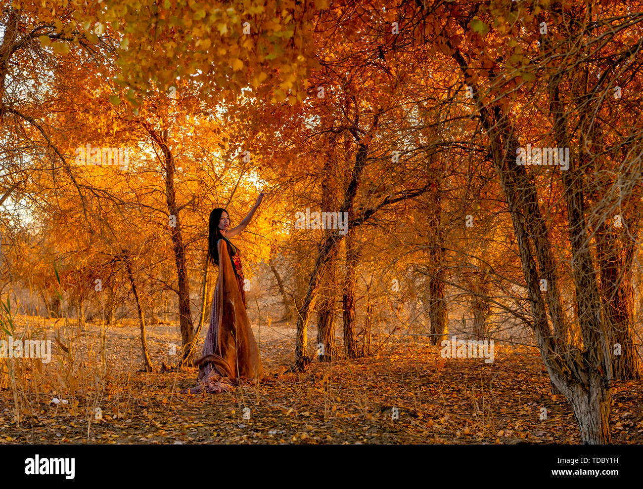 Yang fog hi-res stock photography and images - Alamy
