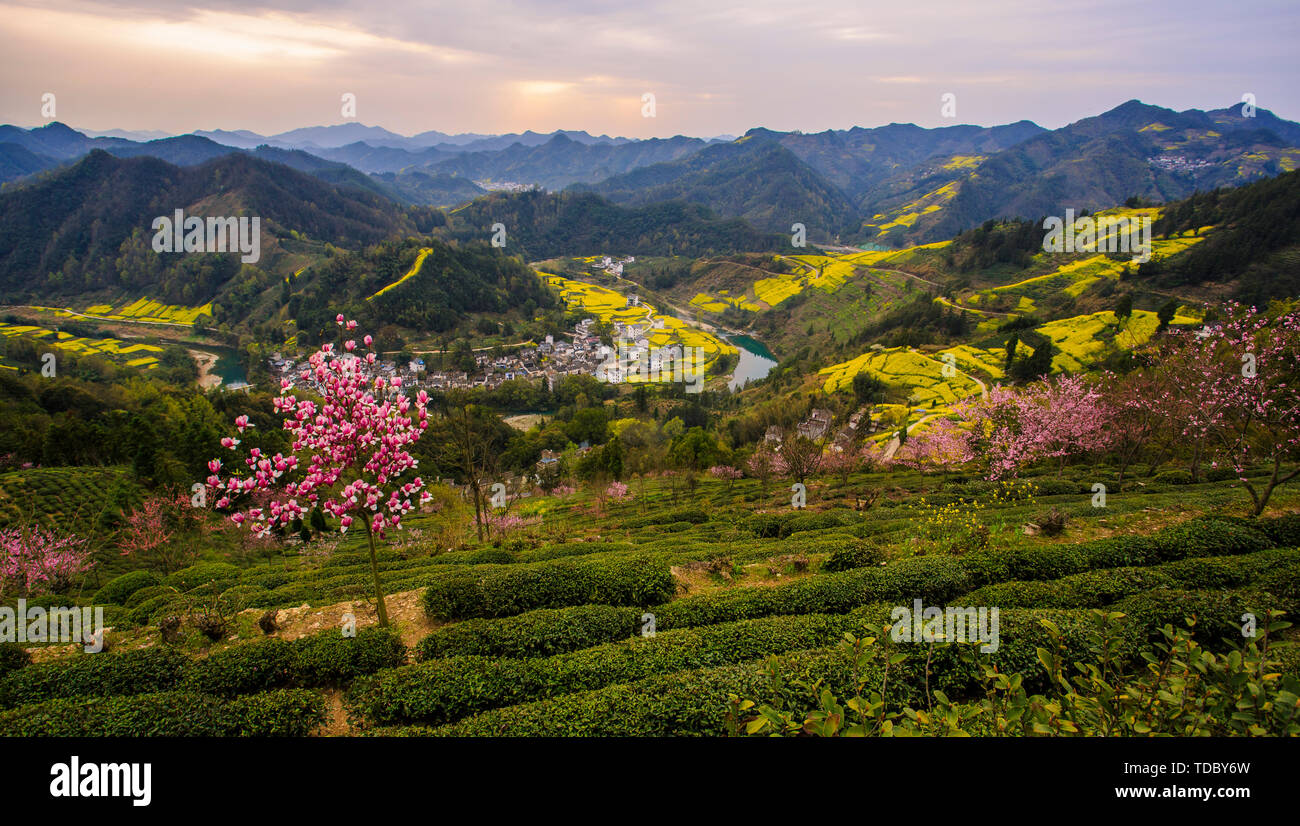Shitan spring color Stock Photo - Alamy