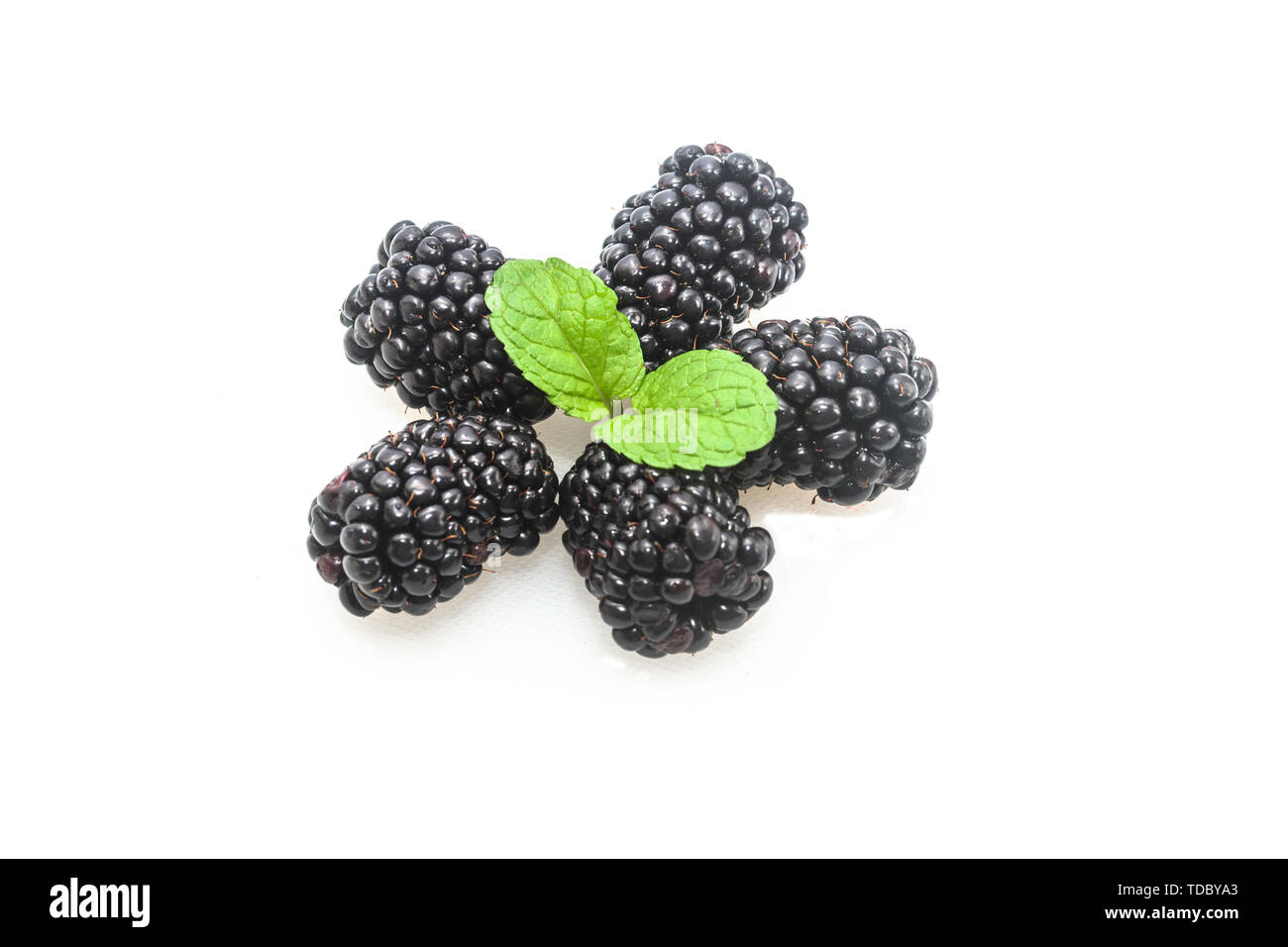 Fresh blackberries on white background Stock Photo - Alamy