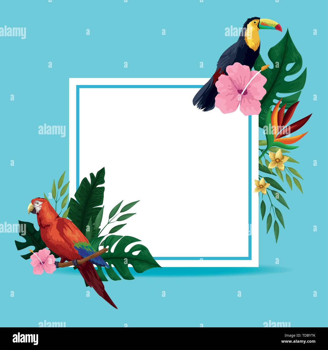 Summer tropical blank card frame Stock Vector Image & Art - Alamy