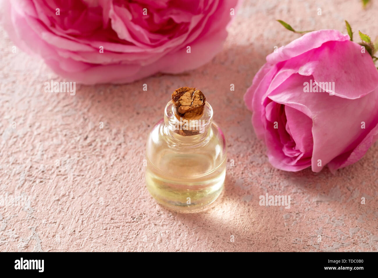 Cabbage roses hi-res stock photography and images - Alamy