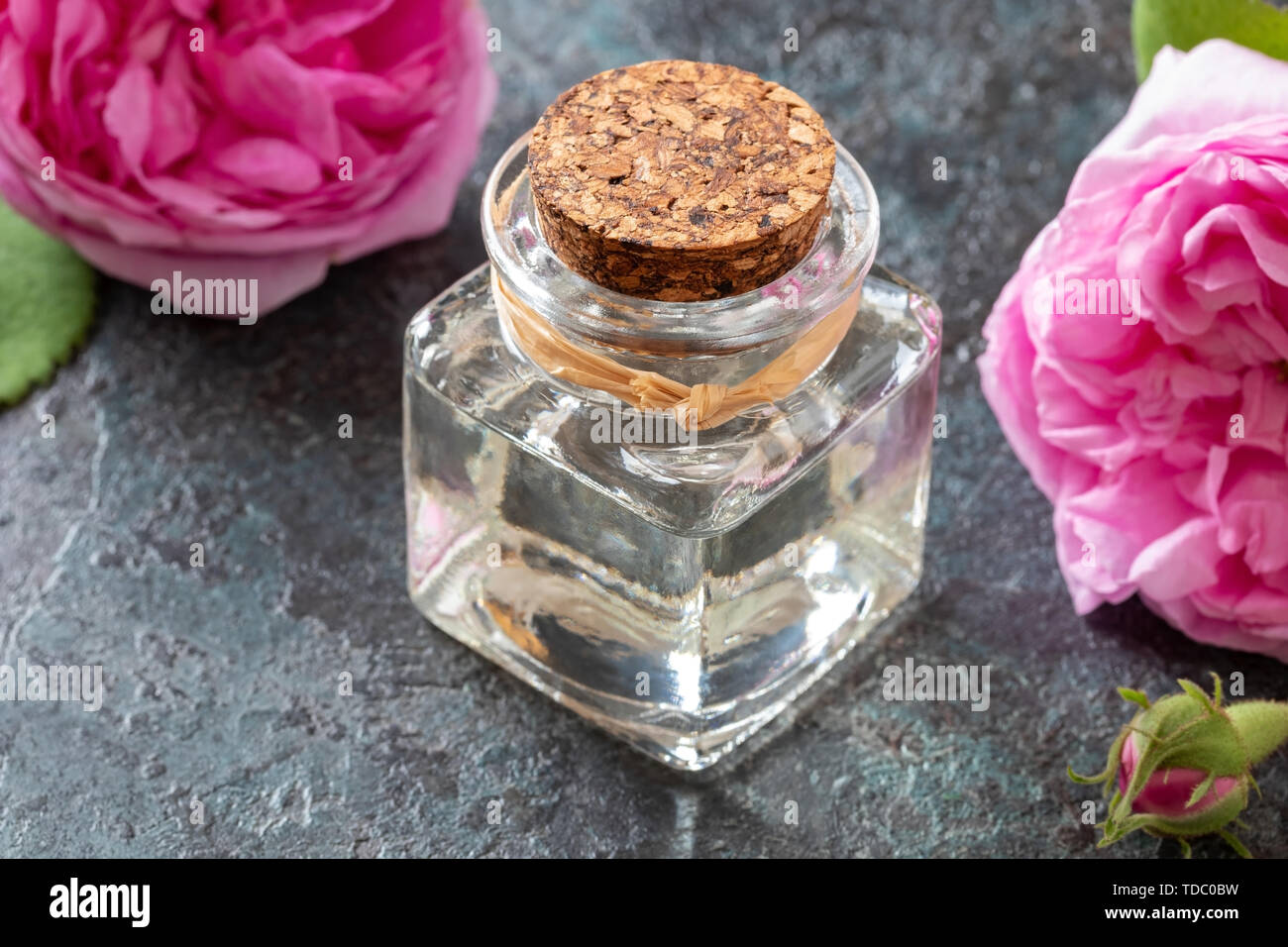 Cabbage roses hi-res stock photography and images - Alamy