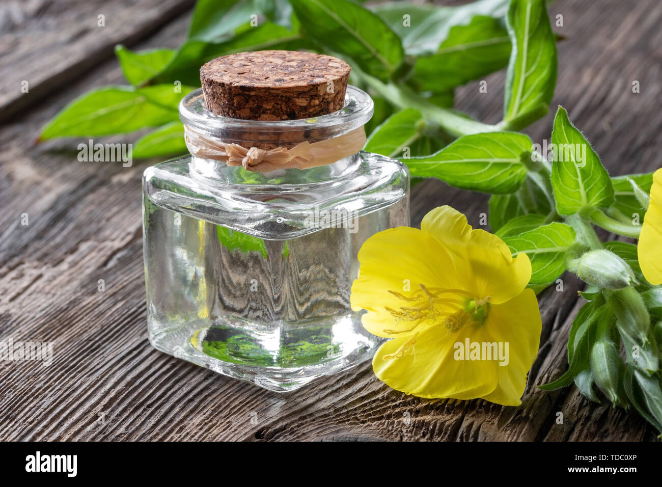 A bottle of evening primrose oil with fresh plant Stock Photo - Alamy
