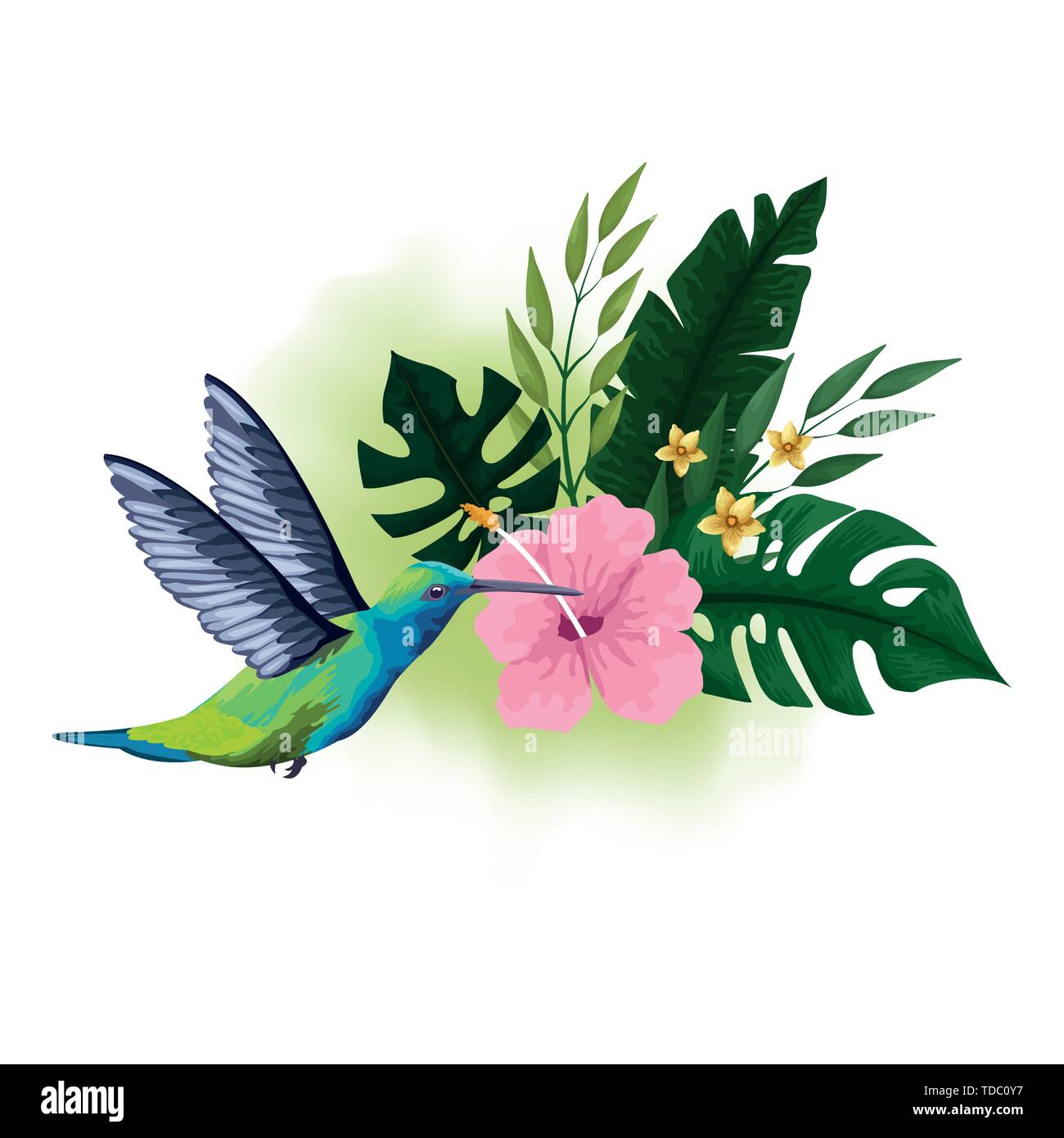 Exotic Flowers Drawing