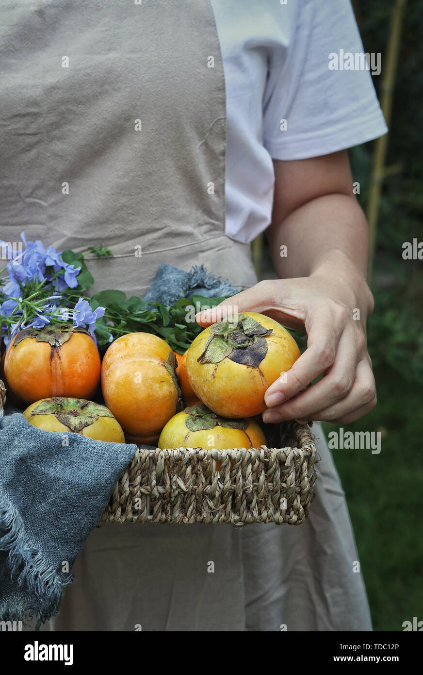 Fresh crispy persimmon Stock Photo - Alamy