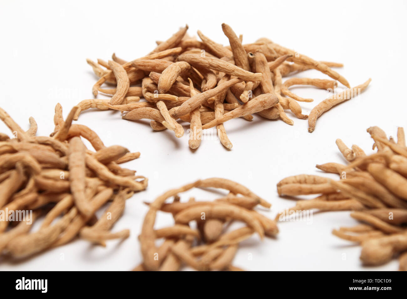 Taizi hi-res stock photography and images - Alamy