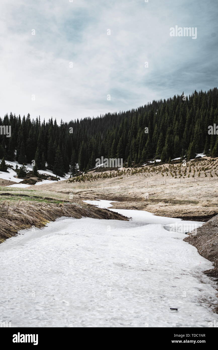 Northern Xinjiang scenery Stock Photo - Alamy