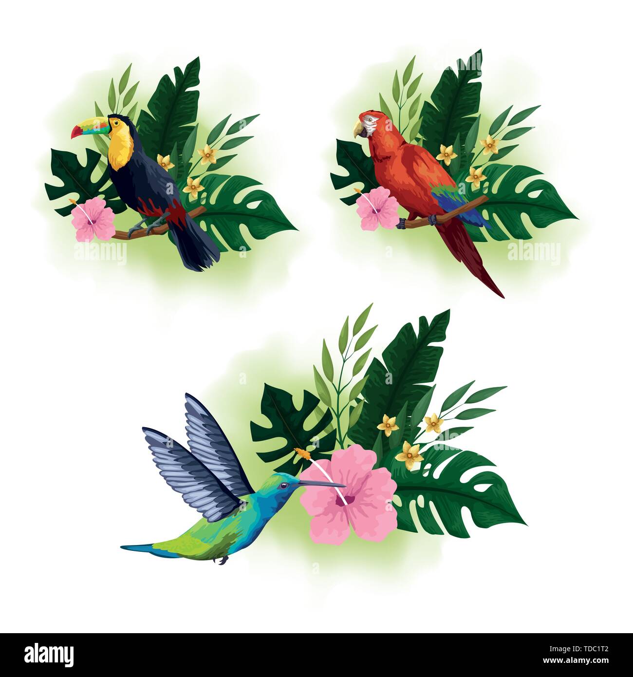Birds drawings Stock Vector Images - Alamy