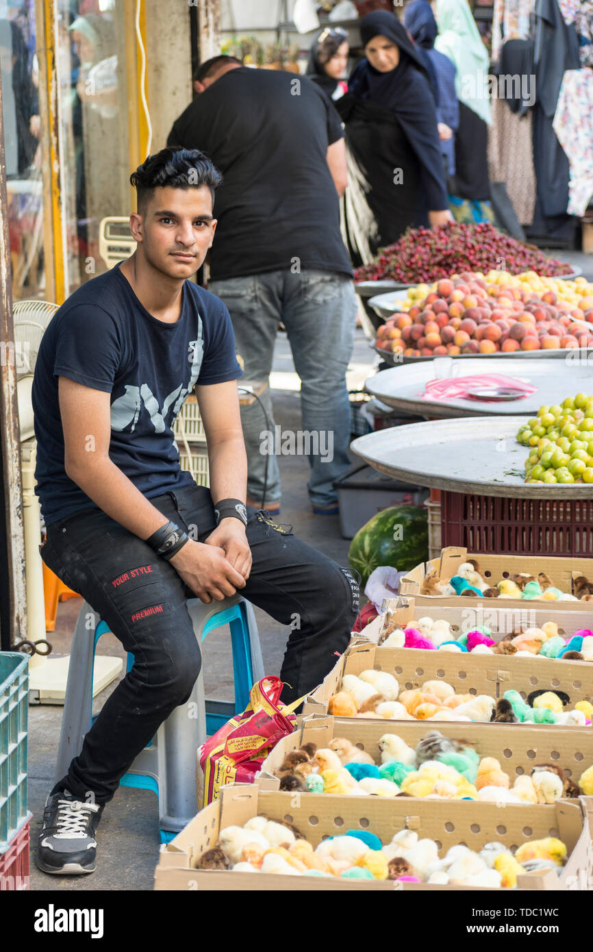 Selling Baby Chicks At The Market High Resolution Stock Photography and ...