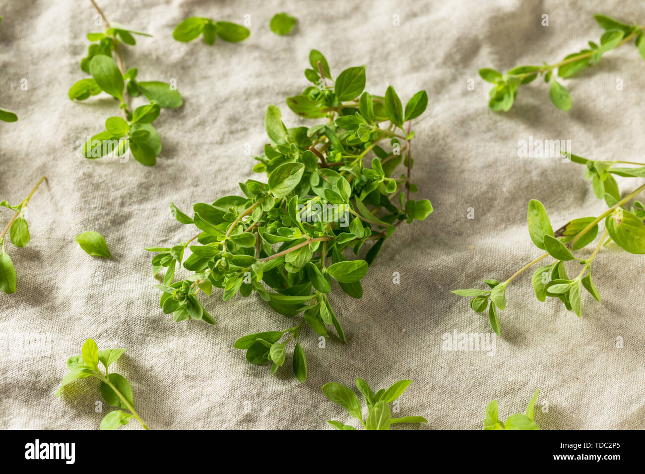Marjoram herb hi-res stock photography and images - Alamy
