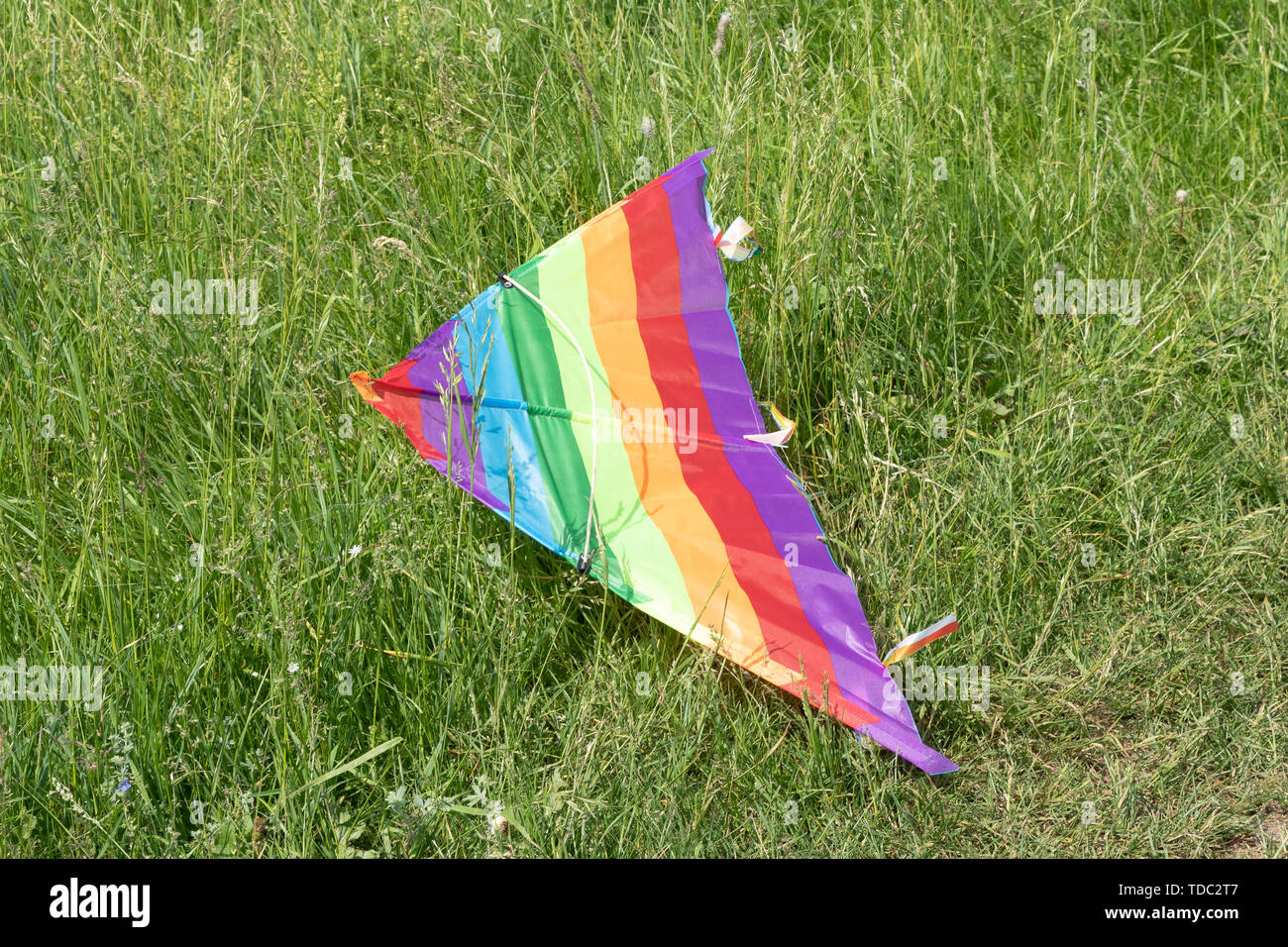 colored kite lying on the green grass Stock Photo - Alamy