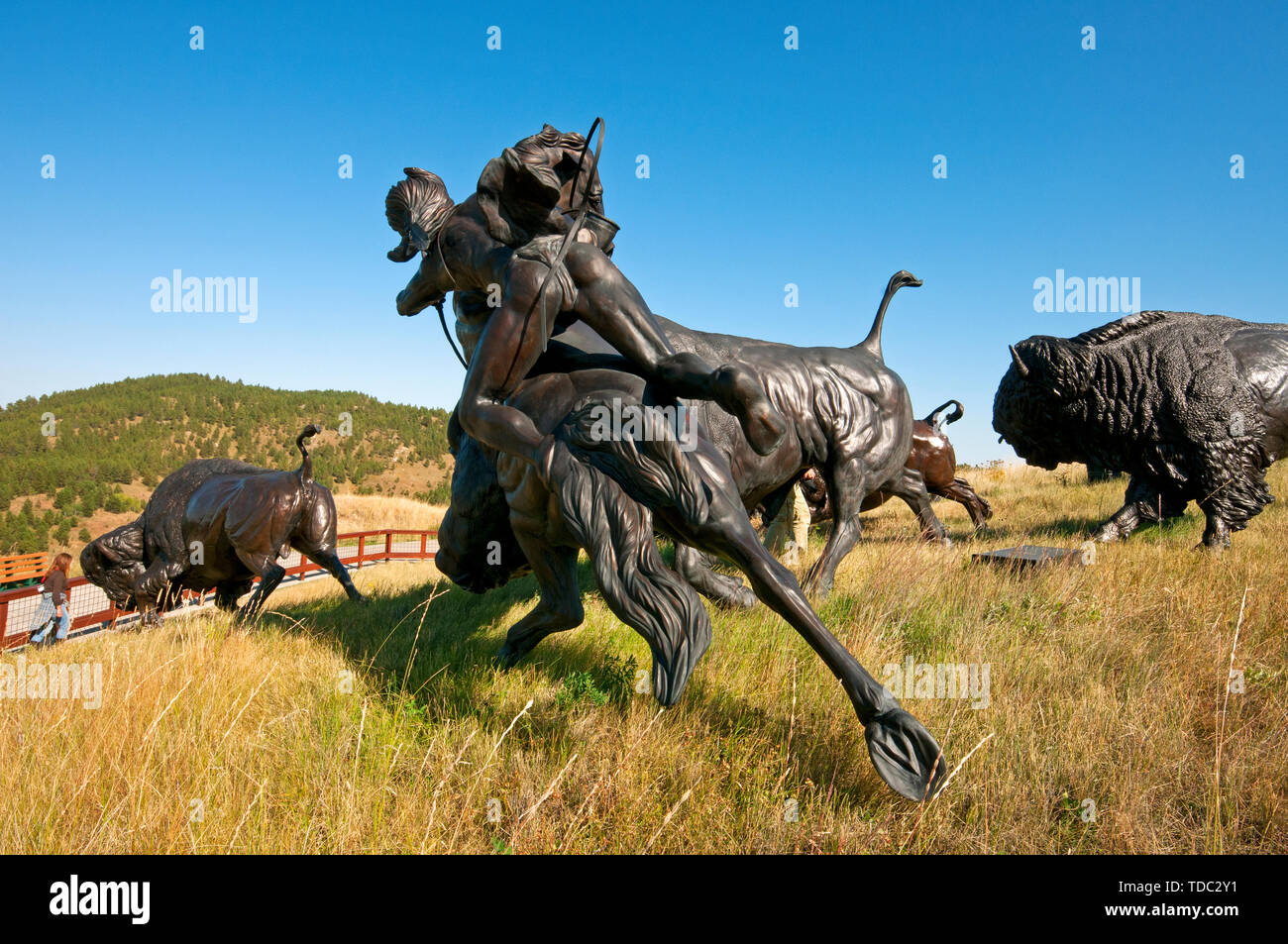 Hunting bisons hi-res stock photography and images - Alamy