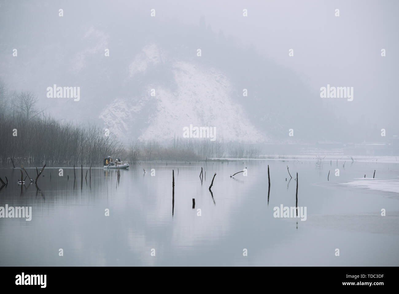 Longchi National Forest Park Stock Photo - Alamy