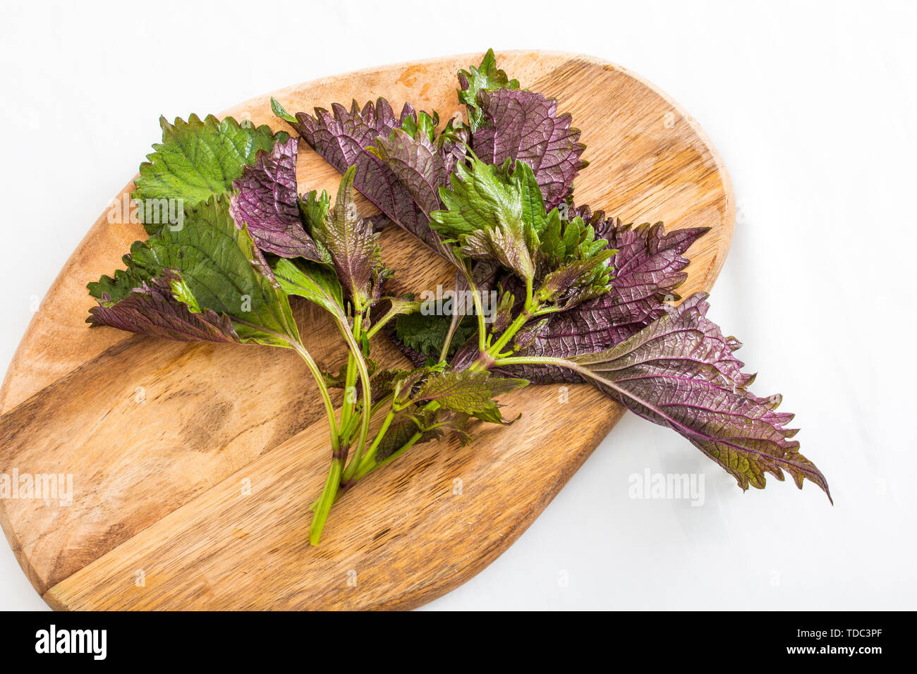 Perilla fish hi-res stock photography and images - Alamy