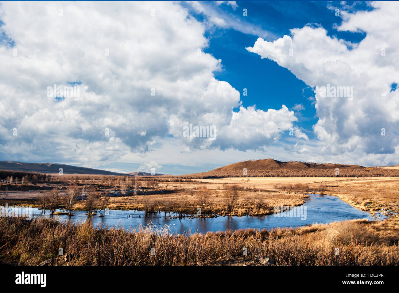 The scenery of Alshan, Inner Mongolia Stock Photo - Alamy